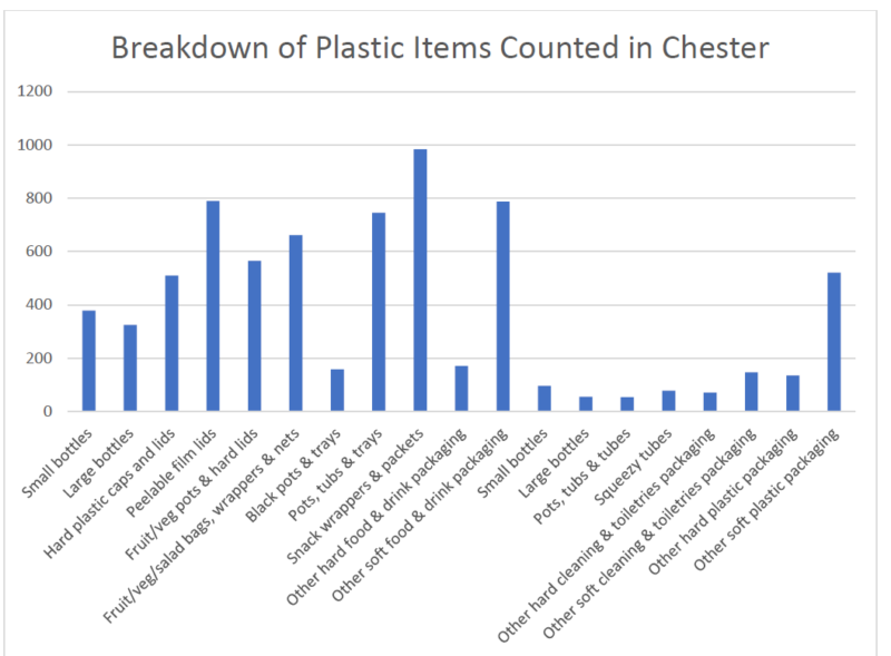 Community Action for a Cleaner Planet: Litter Picking & The Big Plastic ...