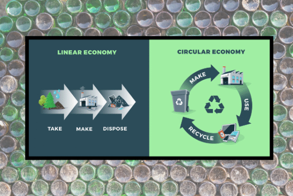 From Policy to People: What the Circular Economy Looks Like in Practice ...